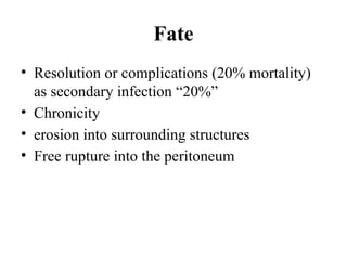 Liver Abscess internal medicine surgery l | PPTX