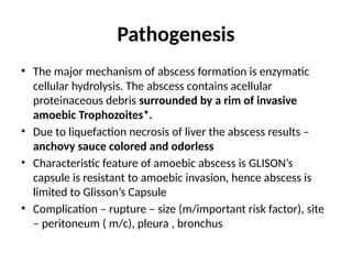 applied Liver Anatomy and liver Abscess & its Management | PPTX