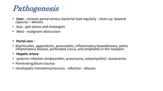 Liver Abscess by Dr Mudassir Baig PIMS.pptx