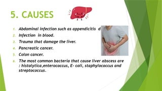 LIVER ABSCESS summary power point slides | PPTX