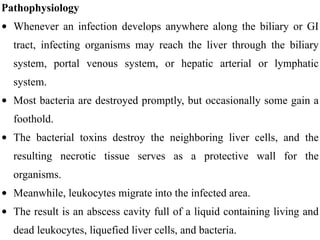 Liver Abscesses.pdf