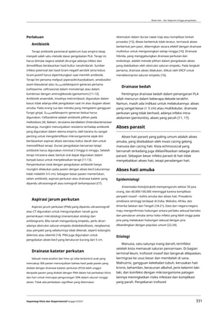 Liver abscesses – from diagnosis to treatment.en.id.pdf