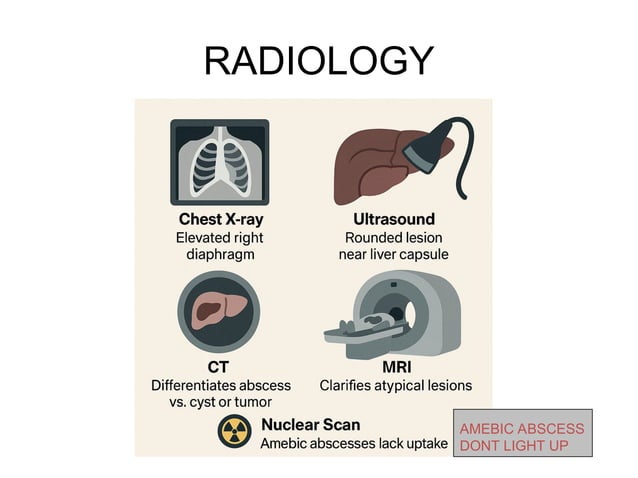 LIVER ABSCESS FINAL.ppt. etiology , pathogenesis, treatment | PPT