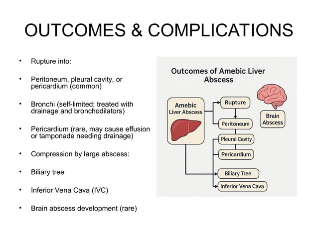 LIVER ABSCESS FINAL.ppt. etiology , pathogenesis, treatment | PPT