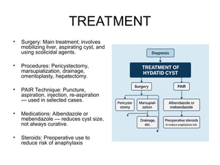 LIVER ABSCESS FINAL.ppt. etiology , pathogenesis, treatment | PPT
