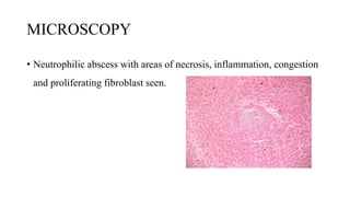 LIVER ABSCESS ppt.pptx