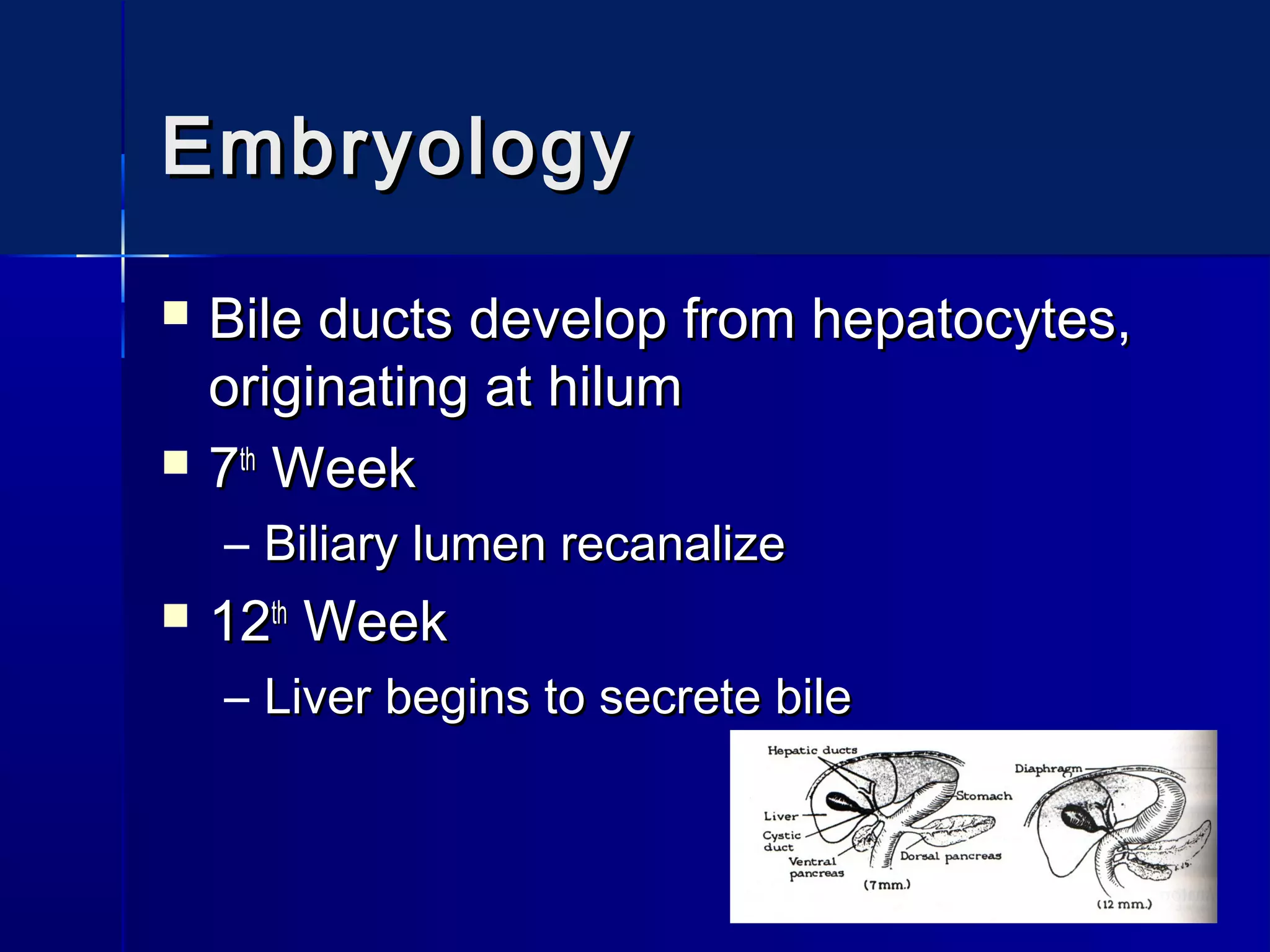 Surgical Anatomy of the Liver : Ηepatectomies - Dimitris P. Korkolis | PPT
