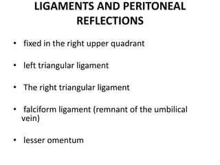 Liver anatomy | PPTX