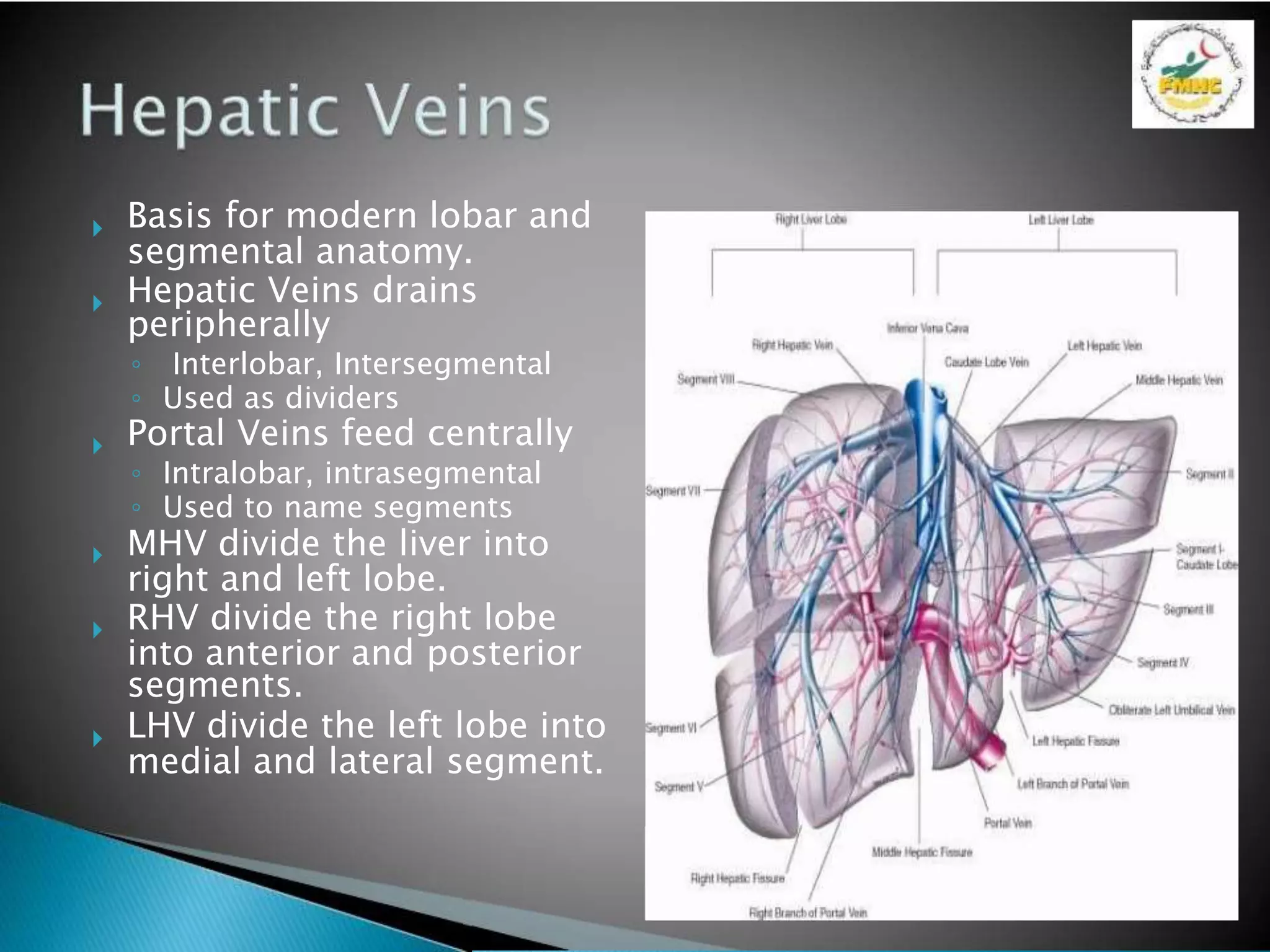 anatomy of liver | PPTX