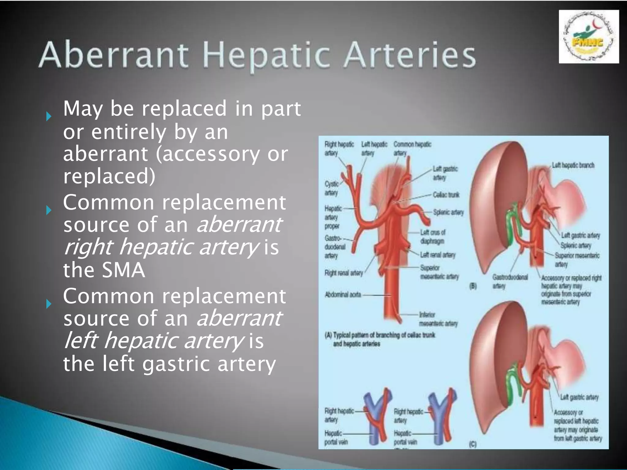 anatomy of liver | PPTX