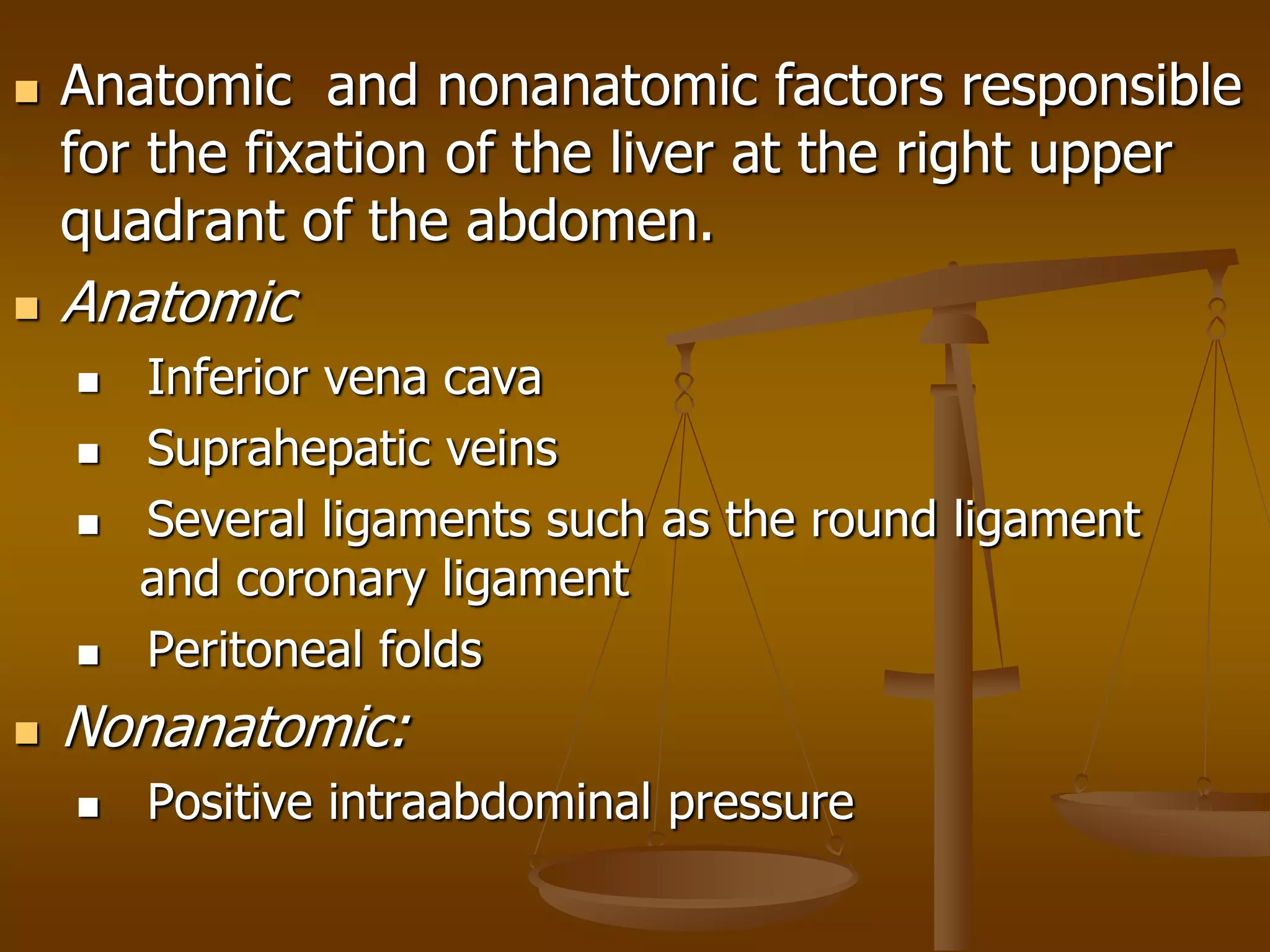 Liveranatomy 190526194654 (1) | PDF