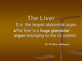 Liveranatomy 190526194654 (1) | PDF