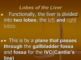 Liveranatomy 190526194654 (1) | PDF