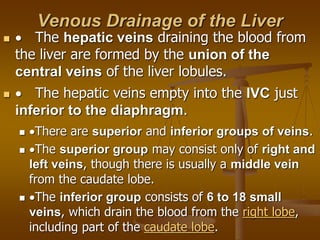 Liveranatomy 190526194654 (1) | PDF