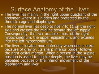 Liveranatomy 190526194654 (1) | PDF