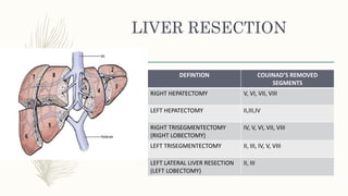 Liver anatomy | PPTX