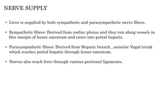 LIVER ANATOMY.pptx