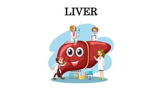 LIVER ANATOMY.pptx