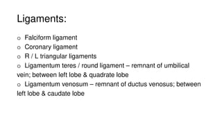 liver anatomy with picture slideshowssss | PPTX