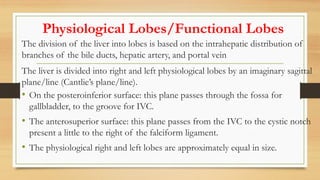liver anatomy with clinical significance | PPTX