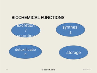 liver anatomy and functions. Physiology pdf | PPT
