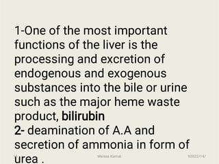 liver anatomy and functions. Physiology pdf | PDF