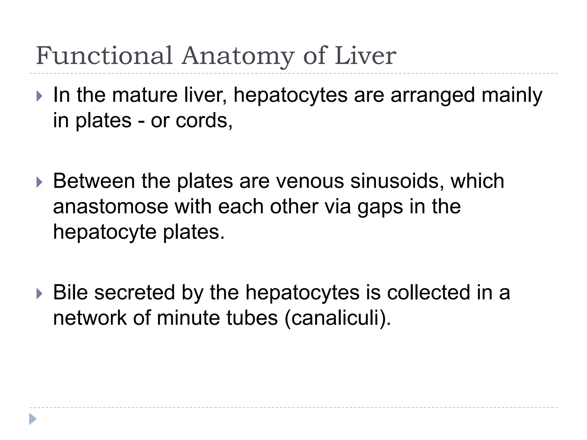 Liver anatomy and physiology | PPTX