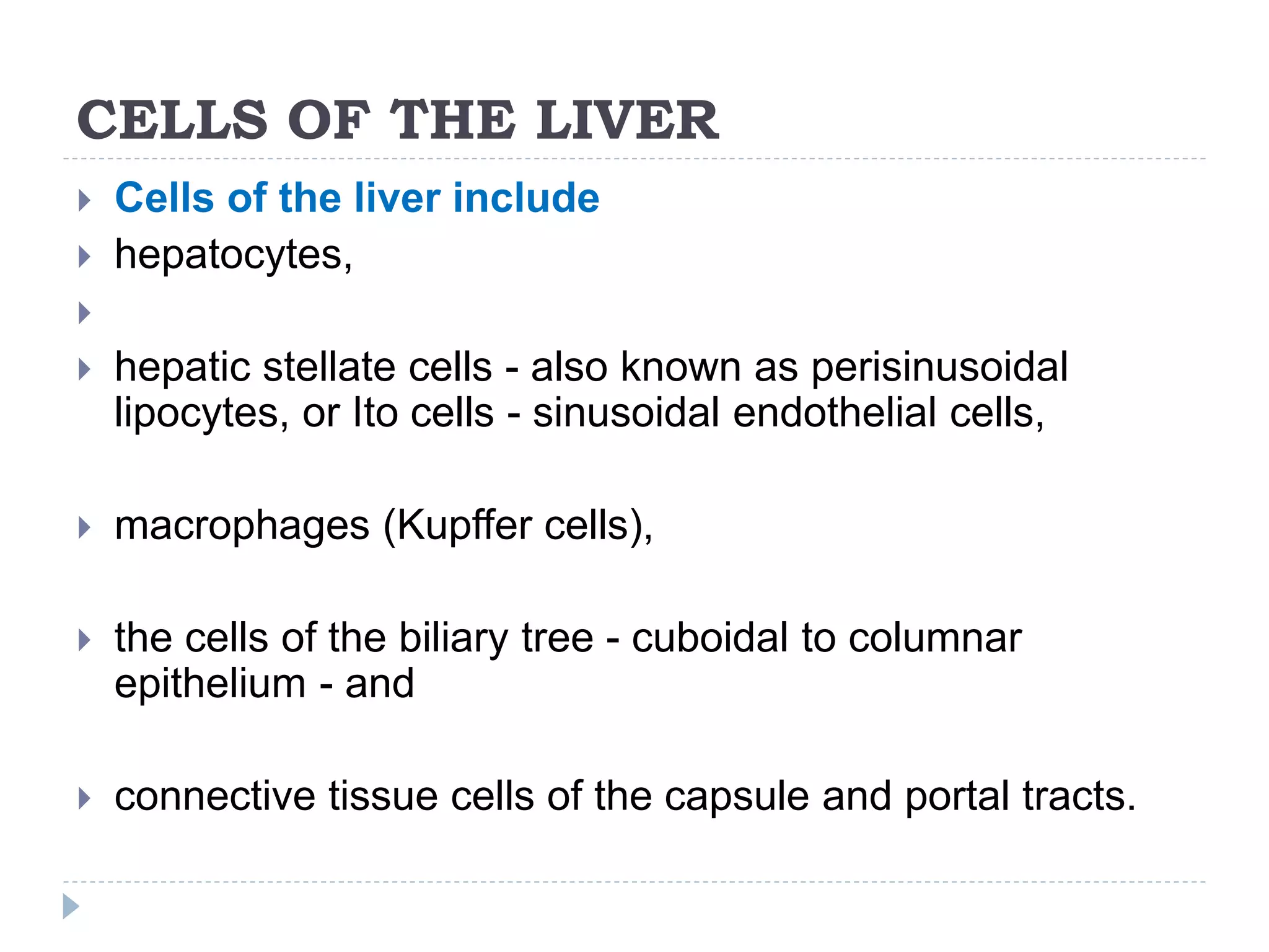 Liver anatomy and physiology | PPTX