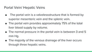 Anatomy and Physiology of the Liver and a review of Benign Hepatic ...