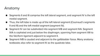 Anatomy and Physiology of the Liver and a review of Benign Hepatic ...