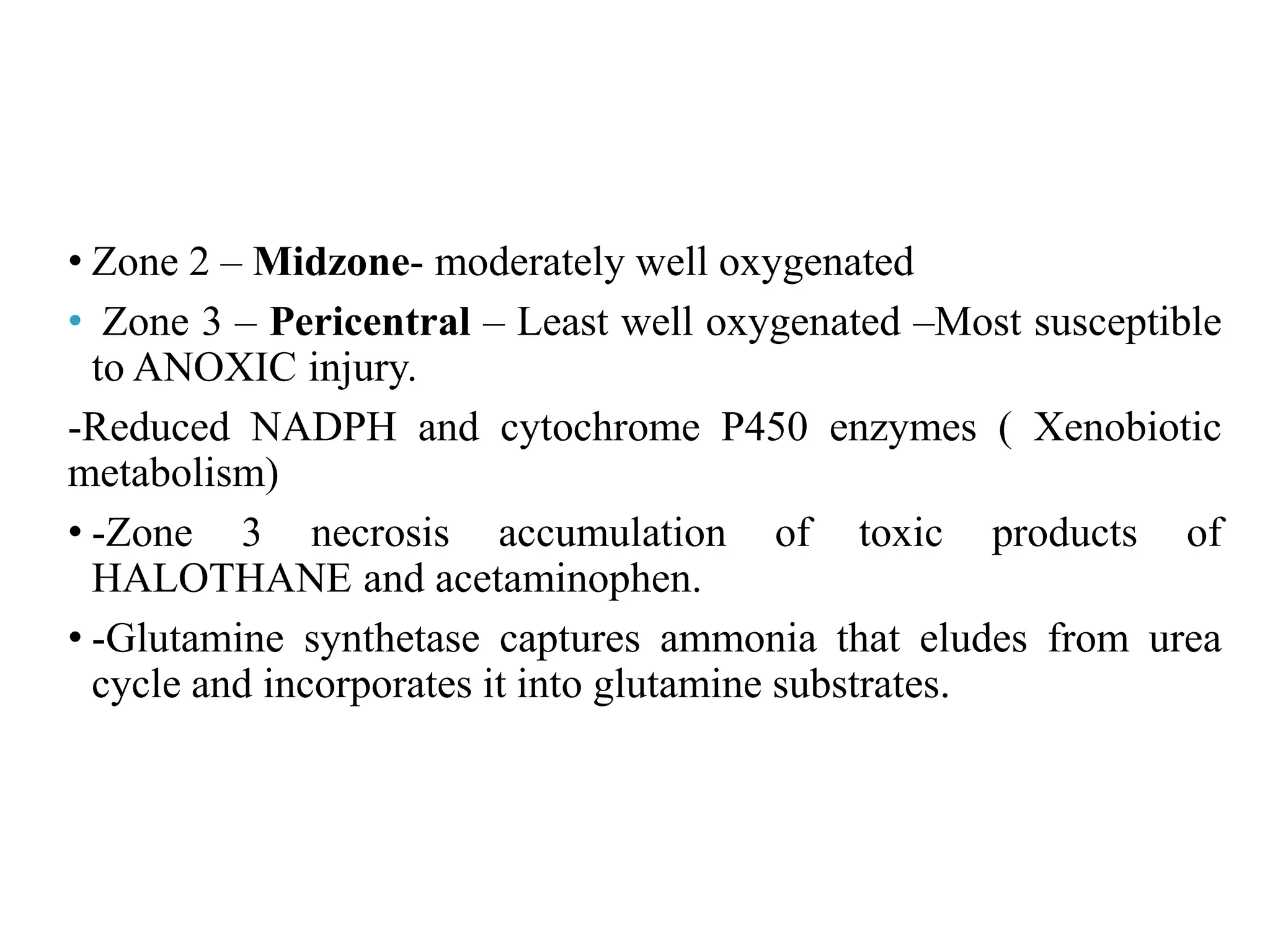liver anatomy and physiology (1).pptbbbx | PPTX