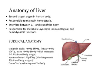 liver anatomy and physiology (1).pptbbbx | PPTX