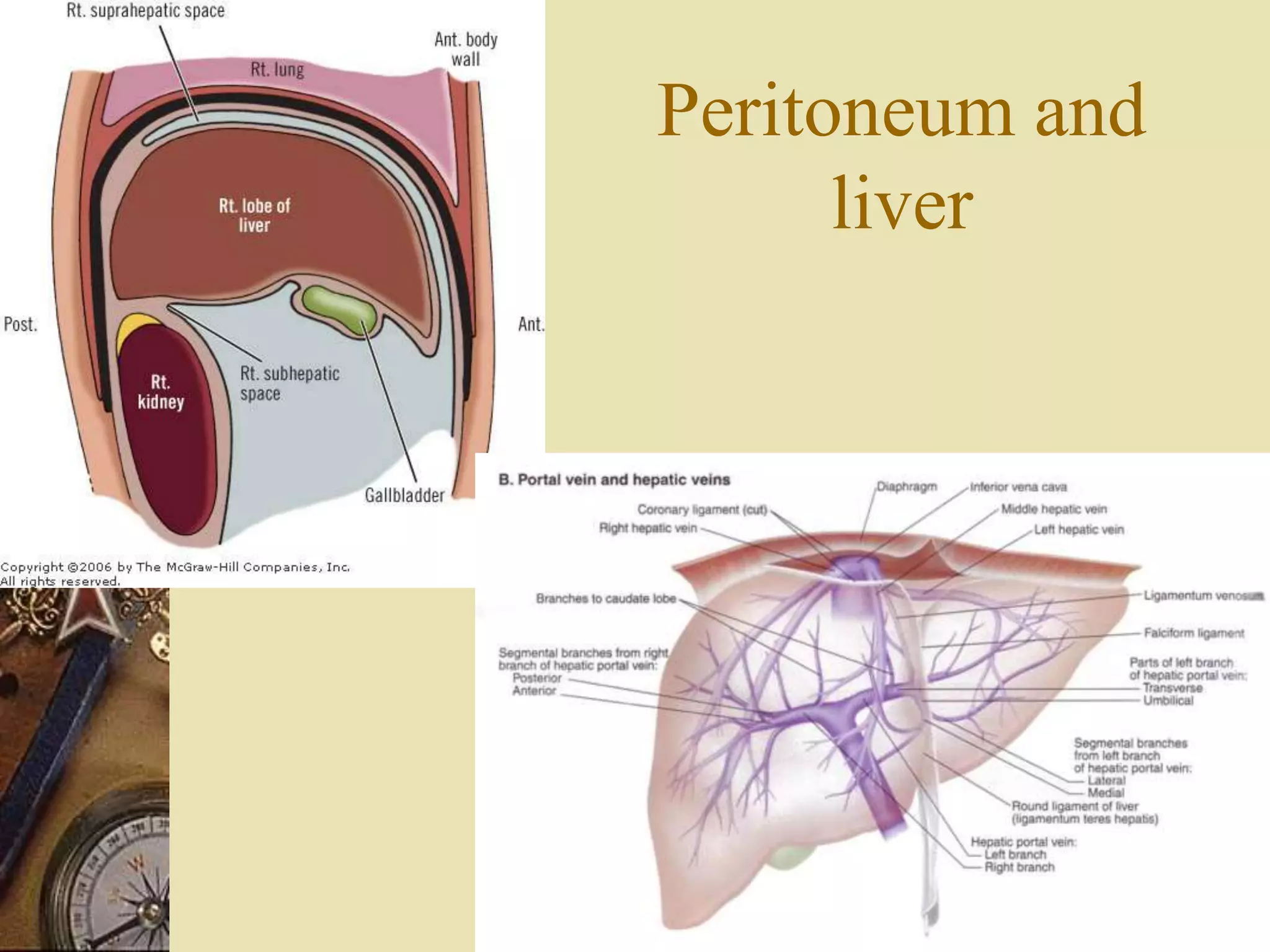 Liver anatomy - history, lobes, segments (by Armata manus) | PPTX