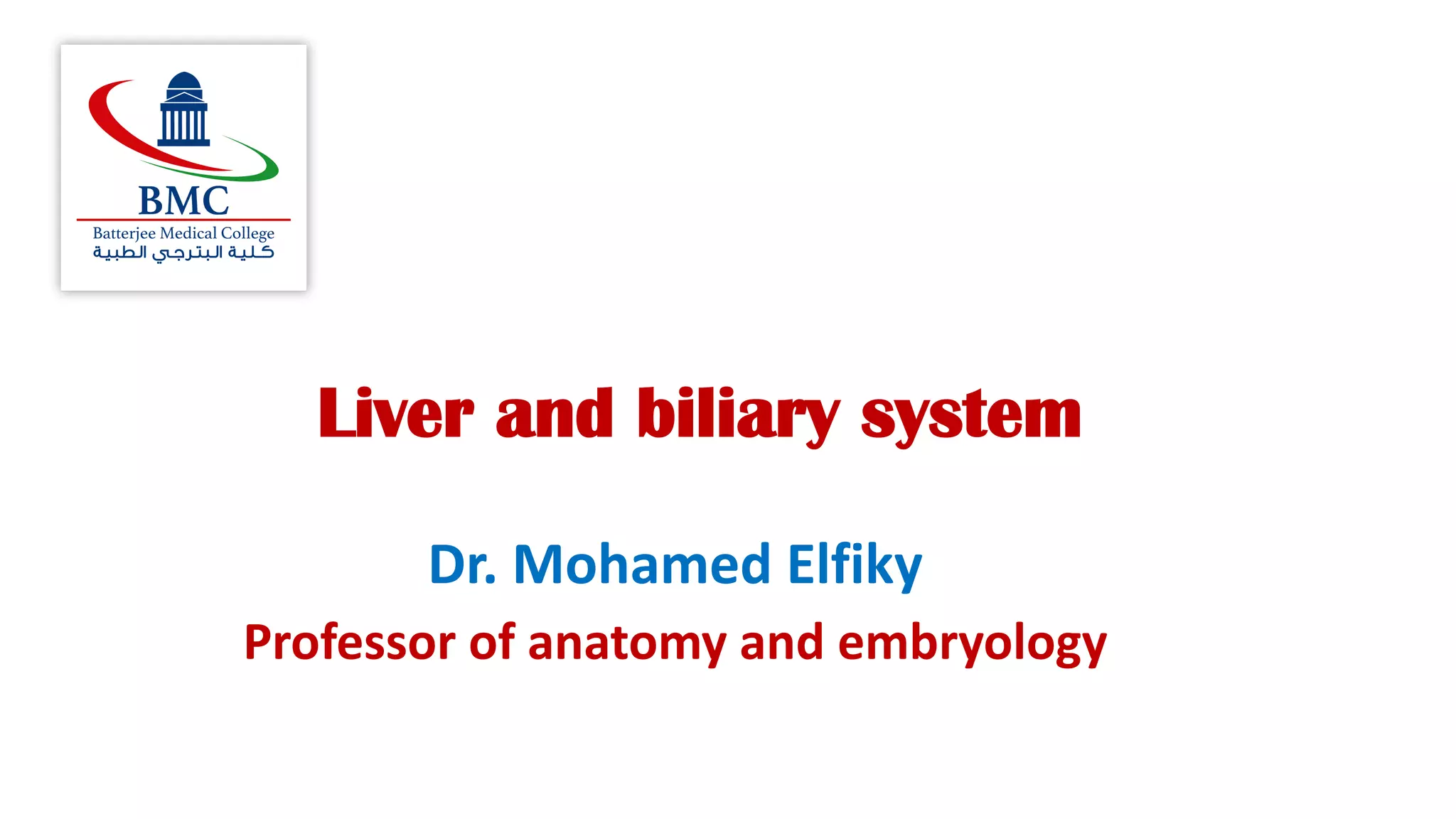 anatomy of Liver and biliary system | PDF