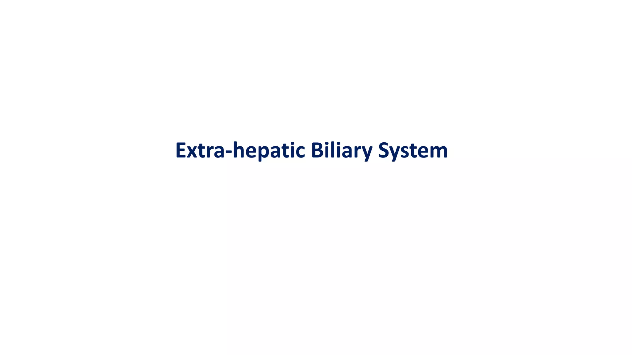anatomy of Liver and biliary system | PDF