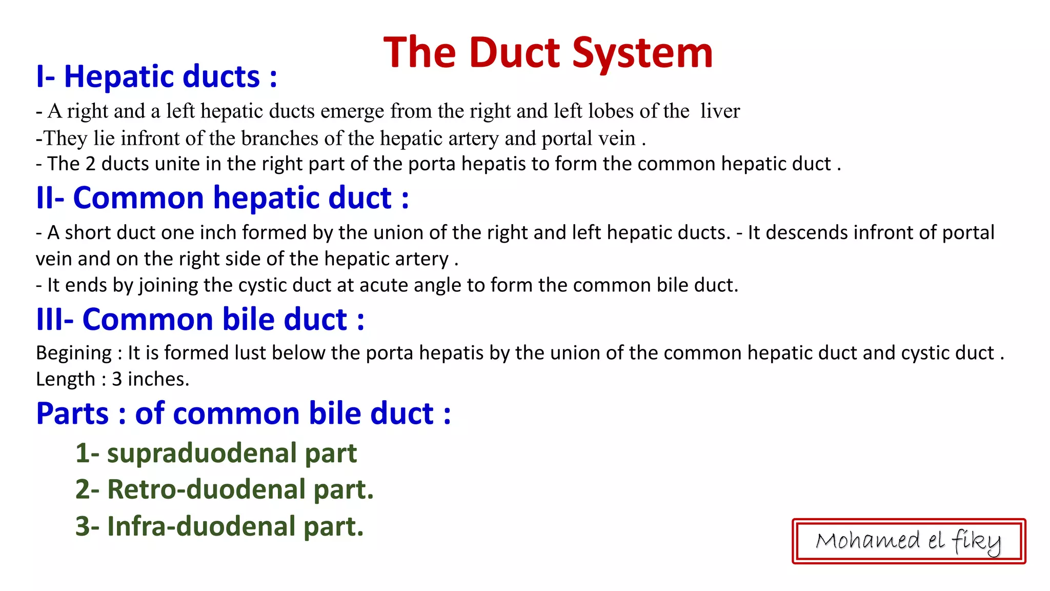 anatomy of Liver and biliary system | PDF