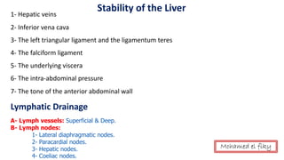 anatomy of Liver and biliary system | PDF