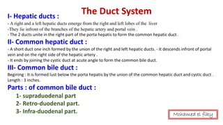 anatomy of Liver and biliary system | PDF