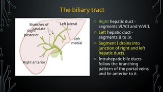 Liver and biliary tract - Normal anatomy and Imaging techniques.pptx