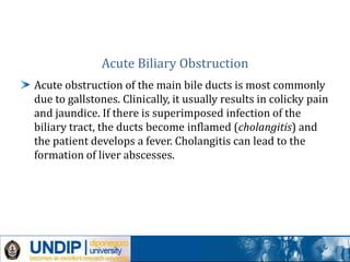 Liver and biliary tract pathology | PPTX