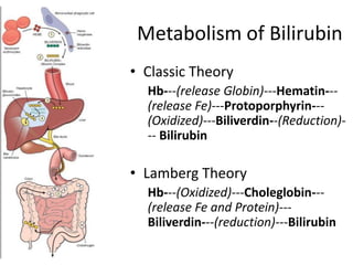 Liver and biliary tract pathology | PPTX