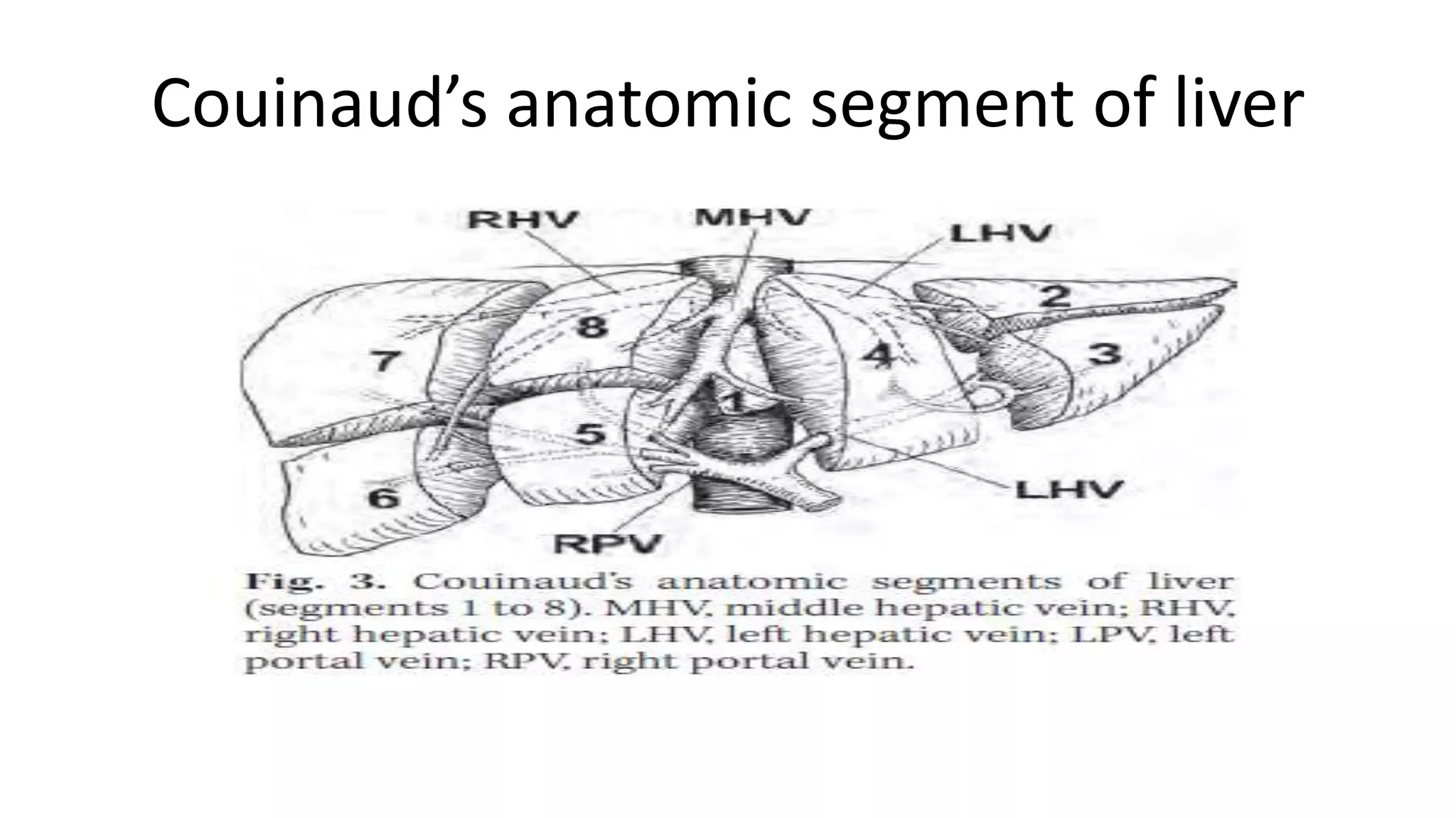 Liver and billiary anatomy | PPTX