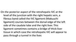 Liver and billiary anatomy | PPT