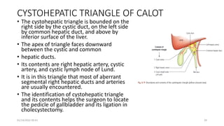 Cystohepatic Triangle