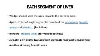 Liver and extra hepatic biliary apparatus.pptx