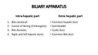 Liver and extra hepatic biliary apparatus.pptx