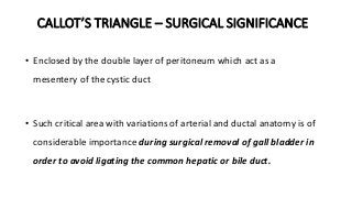 Liver and extra hepatic biliary apparatus.pptx