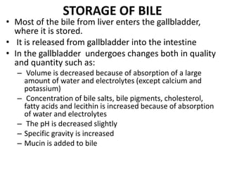 Liver and gallbladder | PPTX
