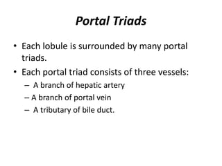 Liver and gallbladder | PPTX