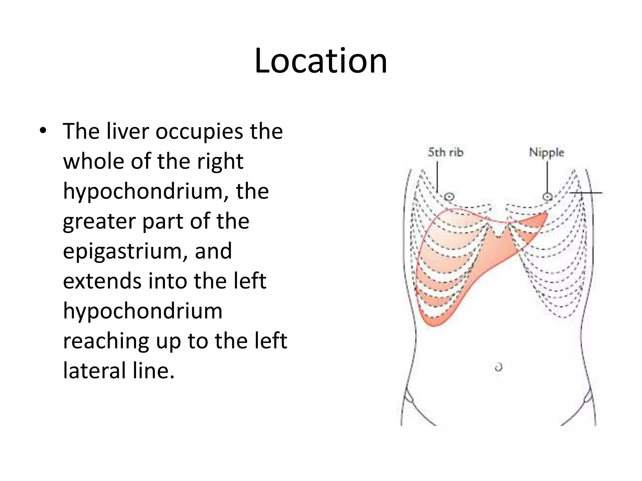 liver and gall bladder.ppsx